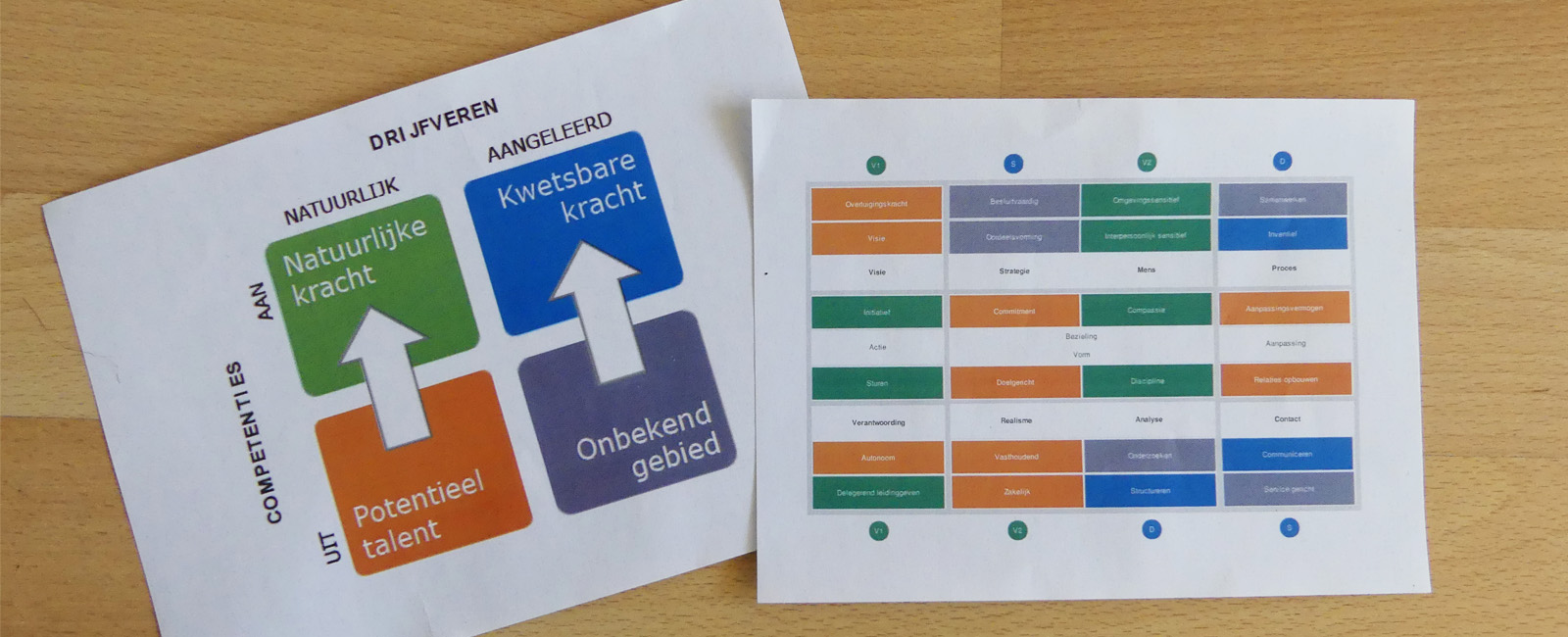 ODC-drijfverenmeting - Maan coaching